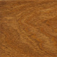 Library Wallbed | WallBeds N More Scottsdale